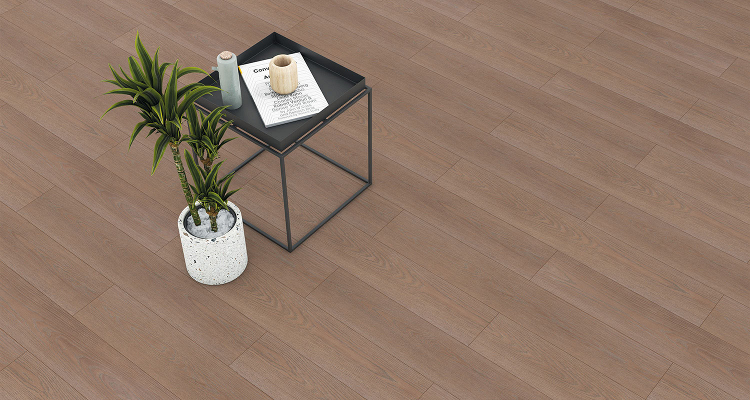 Bronze Oak