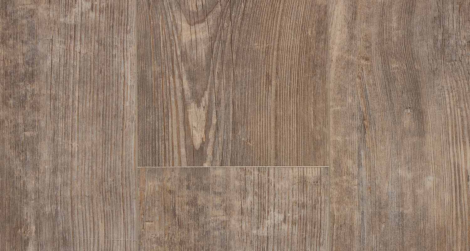 Cherokee Oak